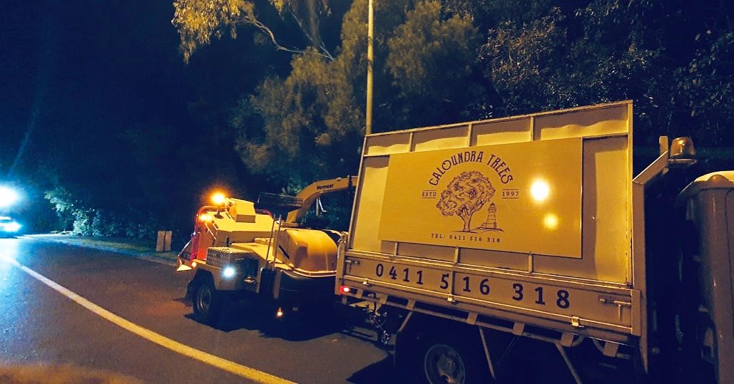 Emergency Storm Damage | Caloundra Trees